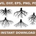 Root Svg, Tree Roots Svg, Roots Template, Root Dxf, Roots Dxf, Tree ...