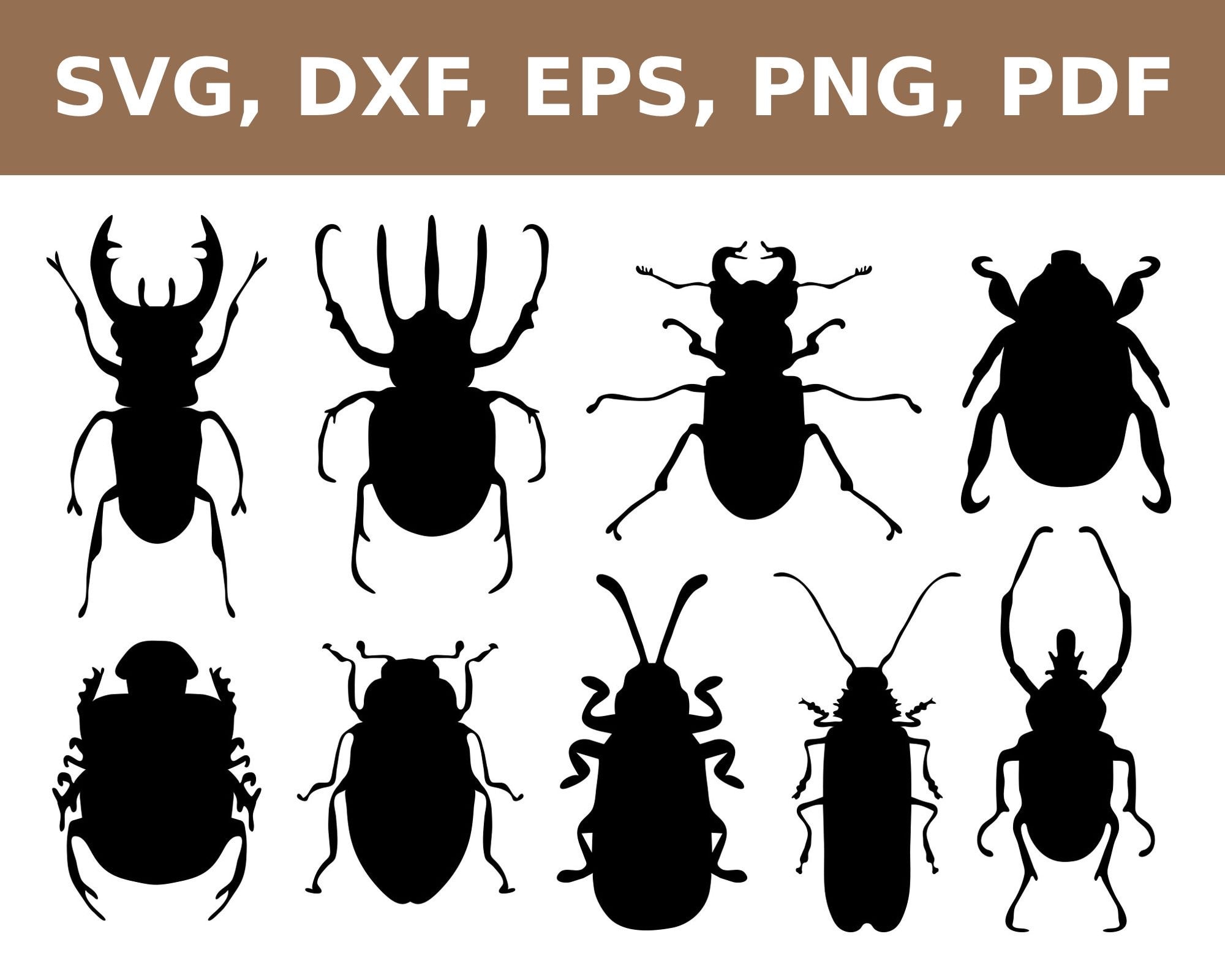 Bug Svg, Bugs Svg, Beetles Svg, Bug Dxf, Beetle Dxf, Bug Template ...