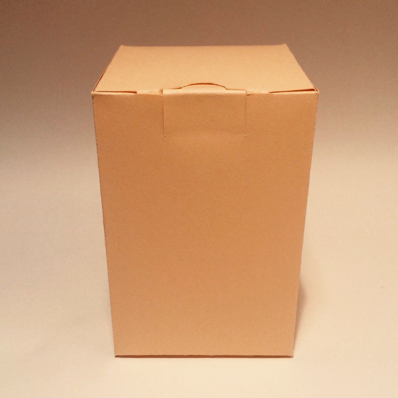 Rectangular Box Template, Shipping Box, Shipping Container, Mailing Box ...