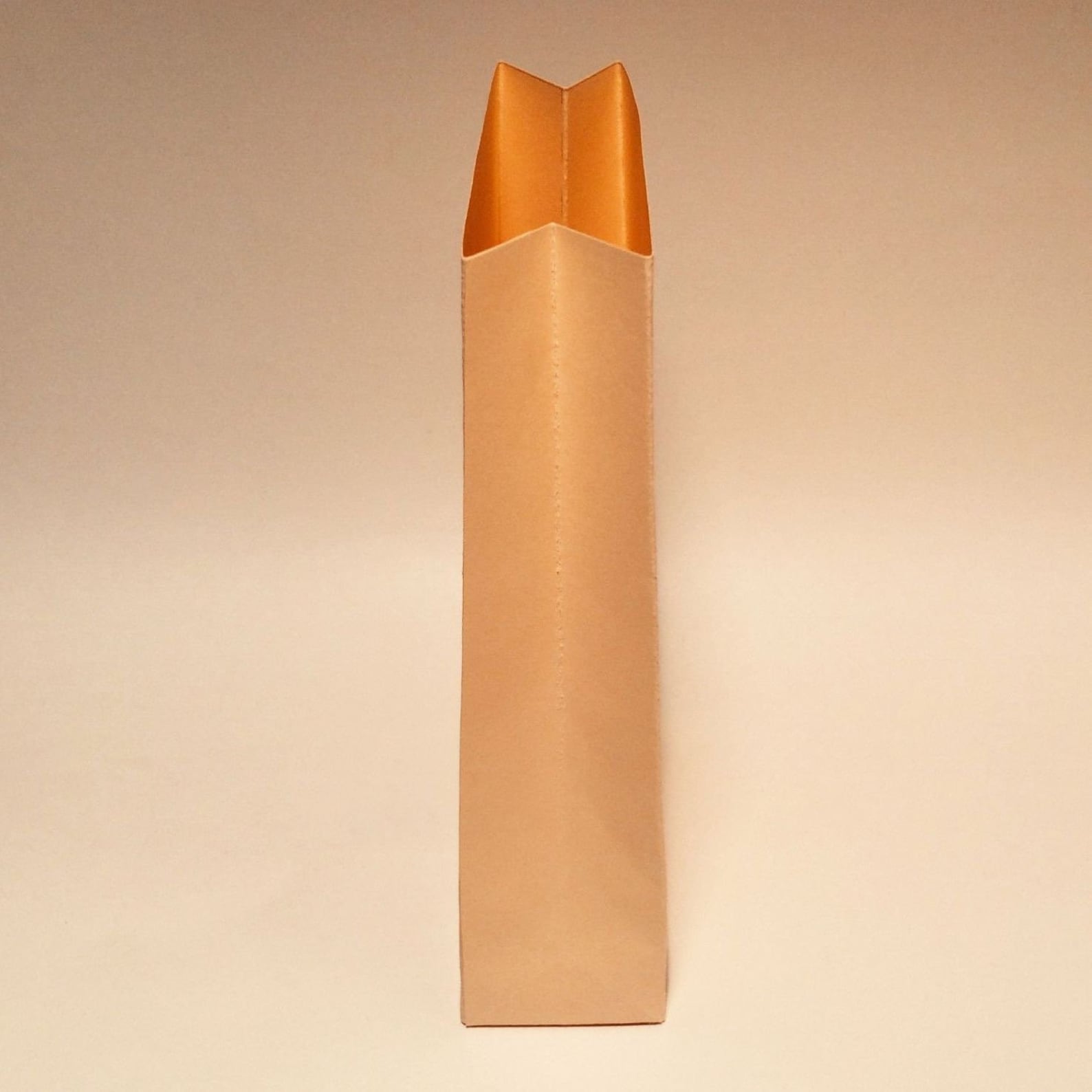 Grocery Bag Template, Paper Grocery Bag, Paper Sack, Grocery Paper Bag ...