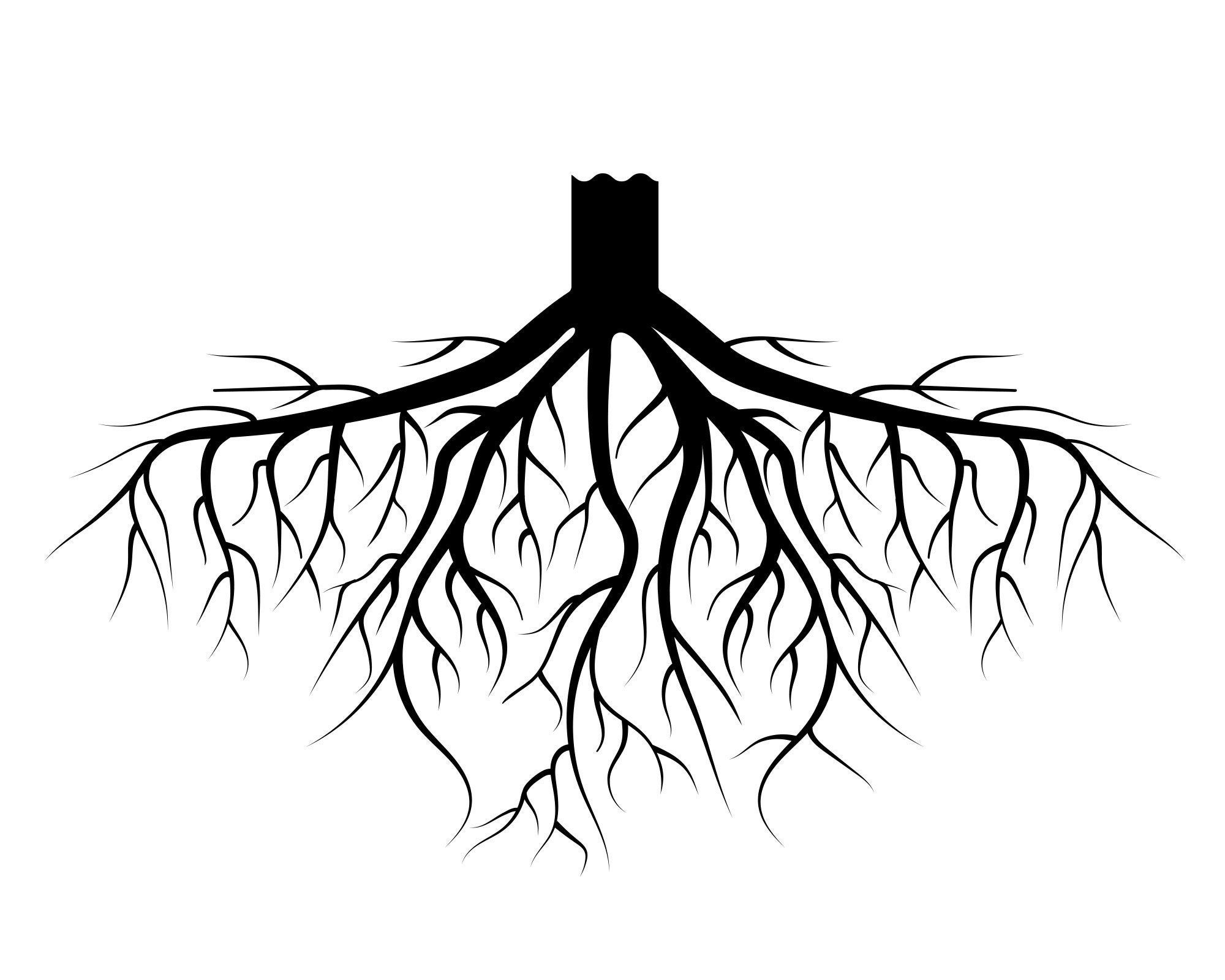 Root Svg, Tree Roots Svg, Roots Template, Root Dxf, Roots Dxf, Tree ...