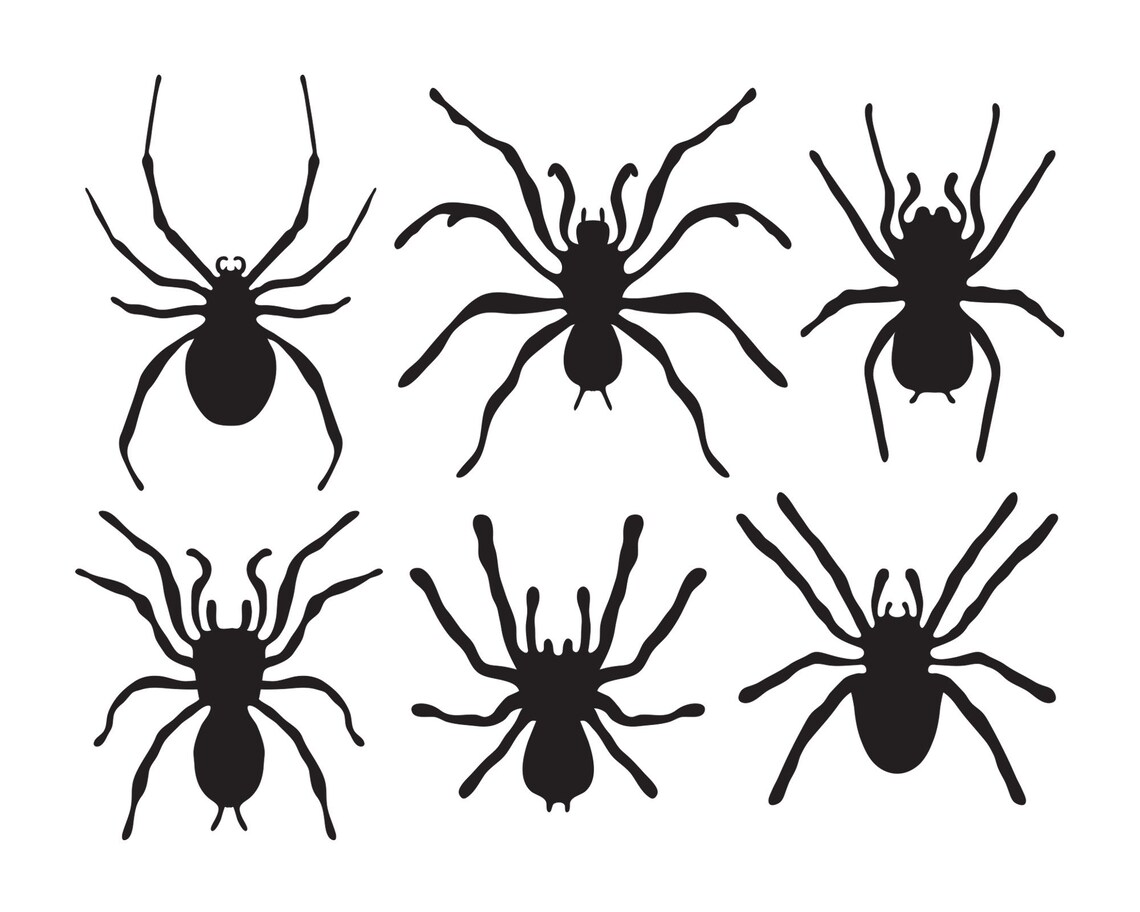Spider Svg, Spider Dxf, Spider Template, Spider Png, Spiders Png ...