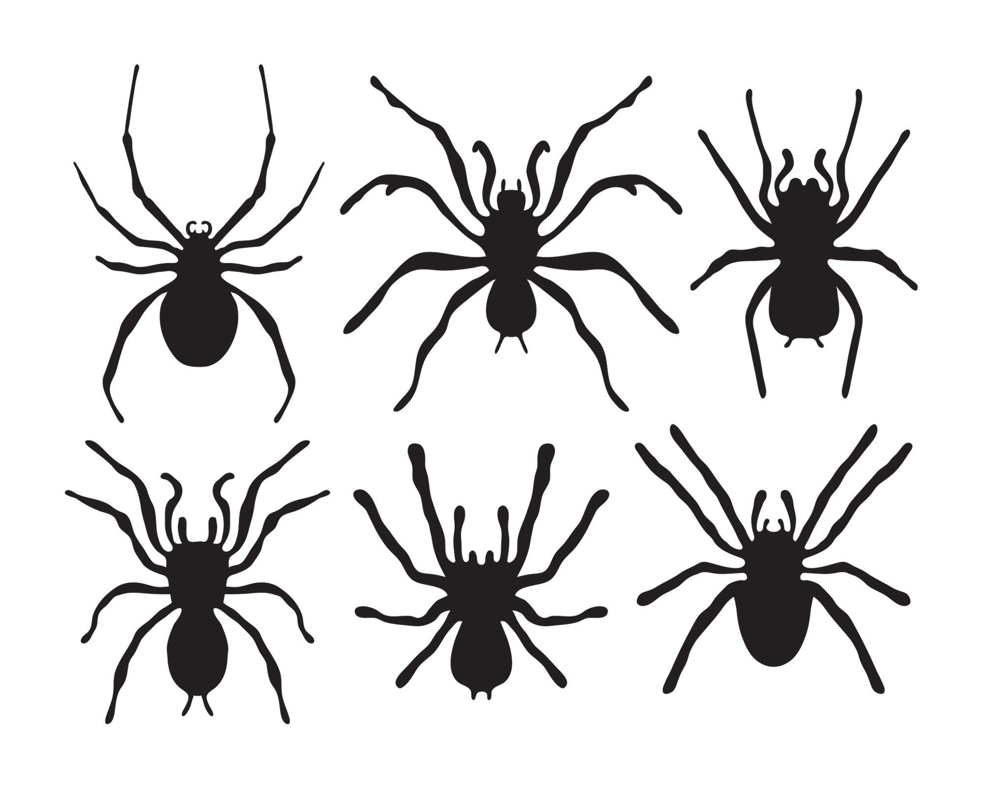 Spider Svg, Spider Dxf, Spider Template, Spider Png, Spiders Png ...