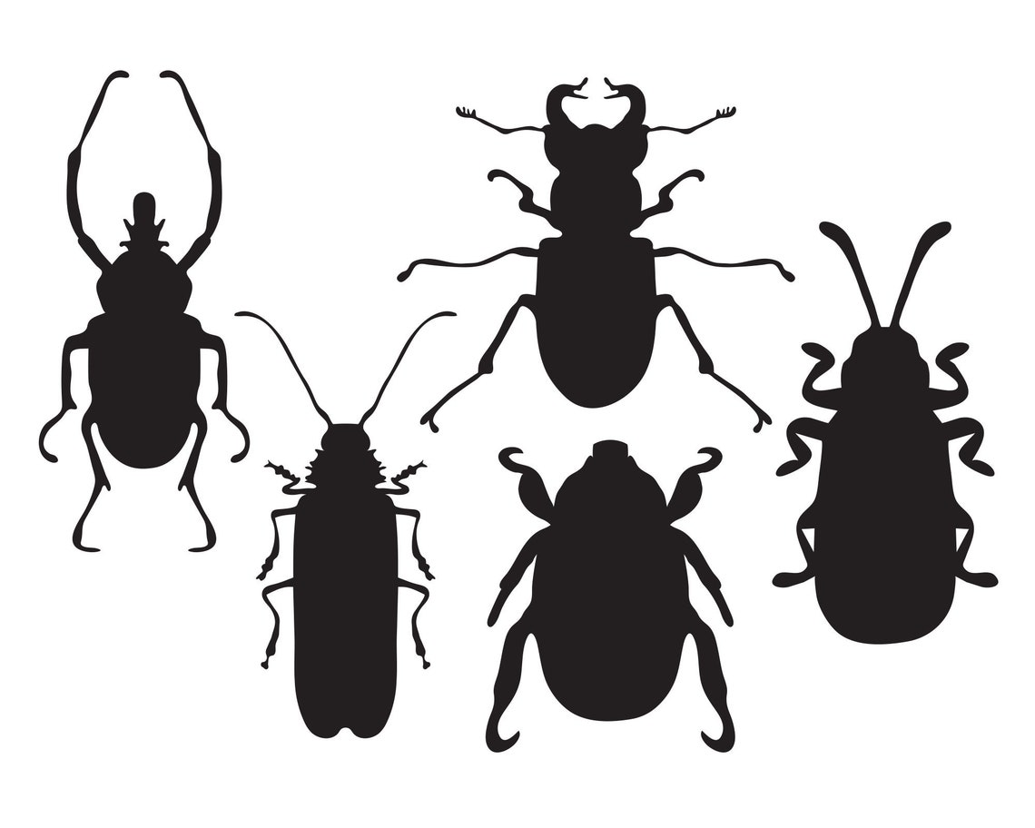 Bug Svg, Bugs Svg, Beetles Svg, Bug Dxf, Beetle Dxf, Bug Template ...