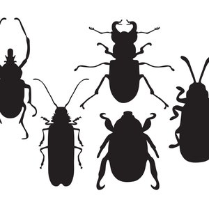 Bug Svg, Bugs Svg, Beetles Svg, Bug Dxf, Beetle Dxf, Bug Template ...