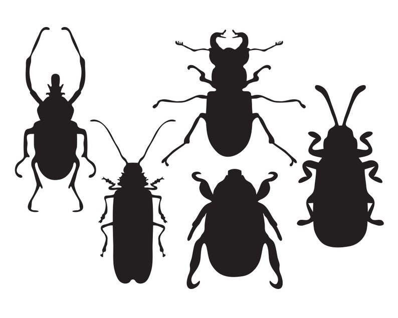 Bug Svg, Bugs Svg, Beetles Svg, Bug Dxf, Beetle Dxf, Bug Template ...