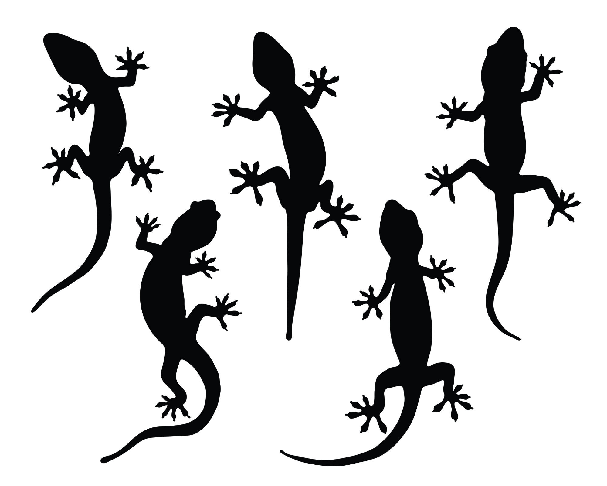 Gecko Svg, Gecko Dxf, Lizard Dxf, Lizard Template, Gecko Template ...