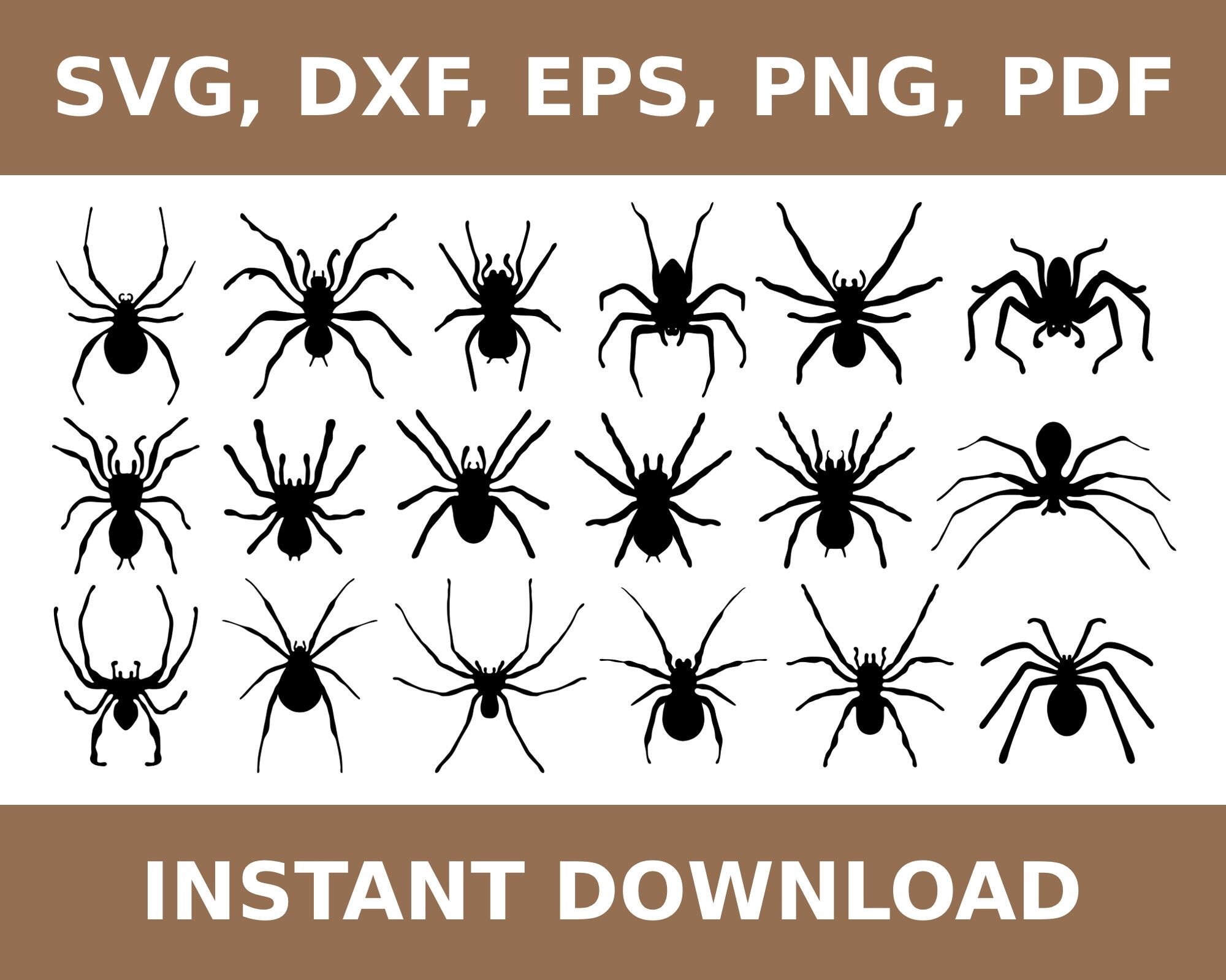 Spider Svg, Spider Dxf, Spider Template, Spider Png, Spiders Png ...