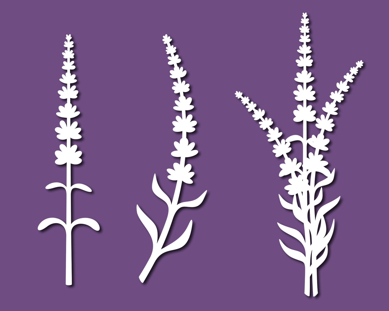 Lavender Svg, Lavender Dxf, Lavender Png, Lavender Laser Cut, Lavender ...