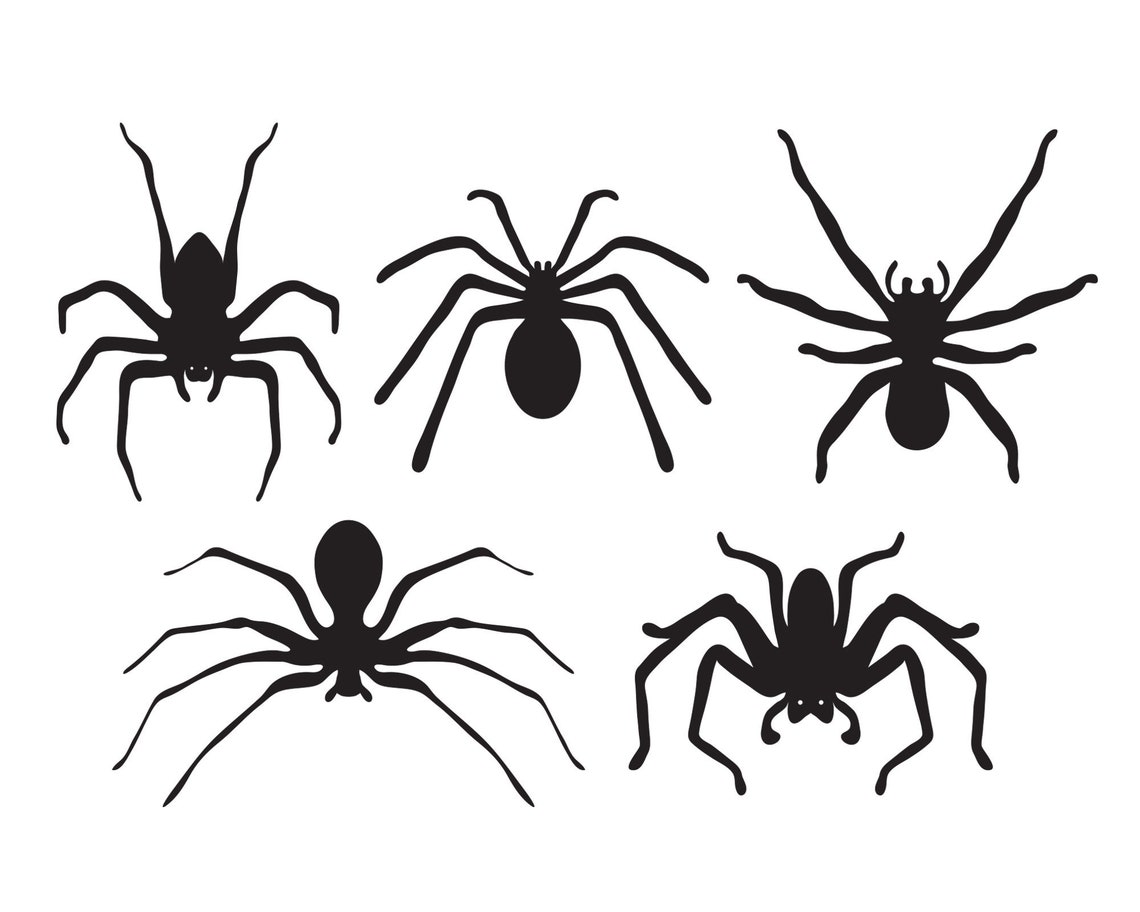 Spider Svg, Spider Dxf, Spider Template, Spider Png, Spiders Png ...