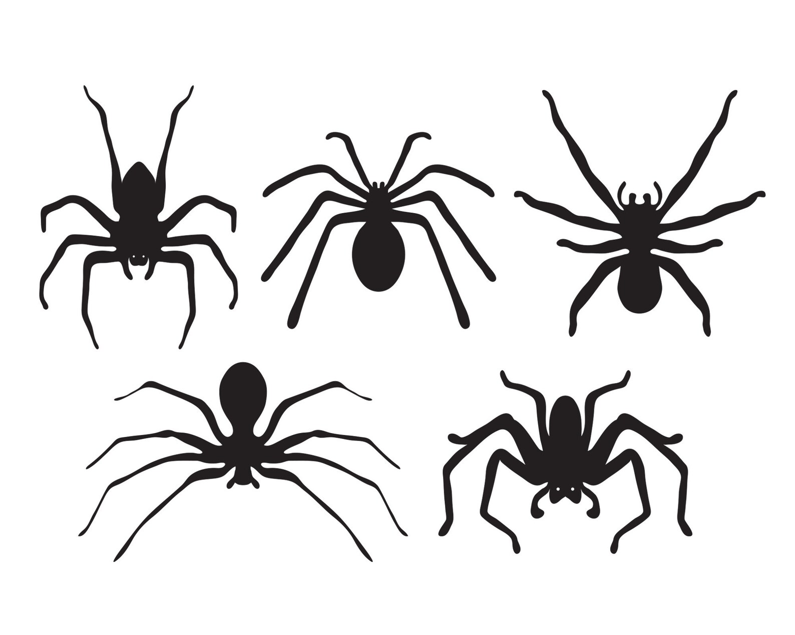Spider Svg, Spider Dxf, Spider Template, Spider Png, Spiders Png ...