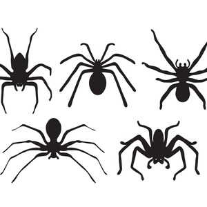 Spider Svg, Spider Dxf, Spider Template, Spider Png, Spiders Png ...
