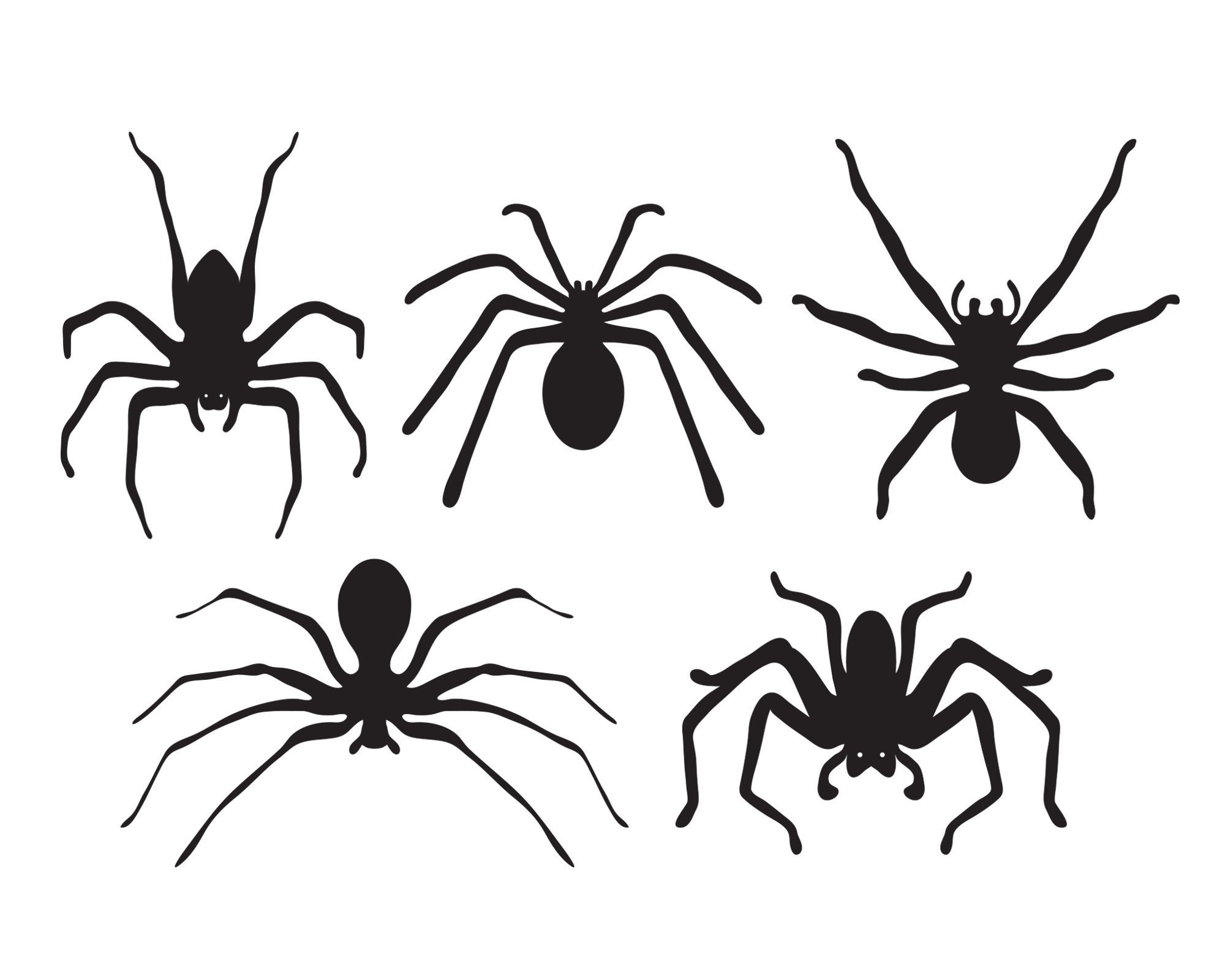 Spider Svg, Spider Dxf, Spider Template, Spider Png, Spiders Png ...