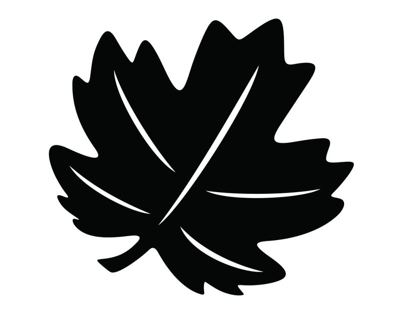 Leaf Svg, Leaf Dxf, Leaf Png, Leaf Laser Cut, Leaf Cut File, Leaf Pdf ...