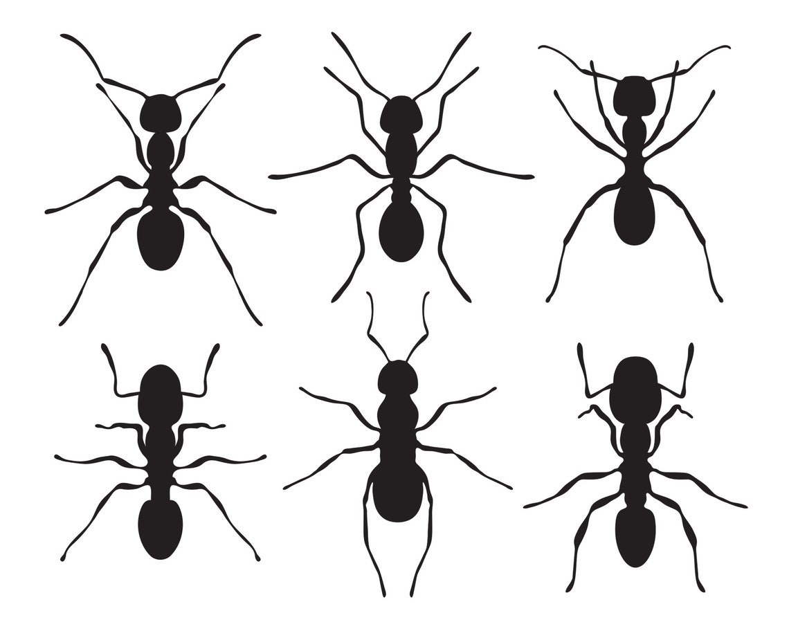 Ant Svg, Ants Svg, Ant Dxf, Ant Template, Ant Png, Ants Png, Ant Cutout, Ant Cut File, Ant Laser ...