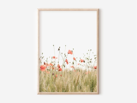 Poppy Field Printable Wall Art Instant Digital Download - Etsy