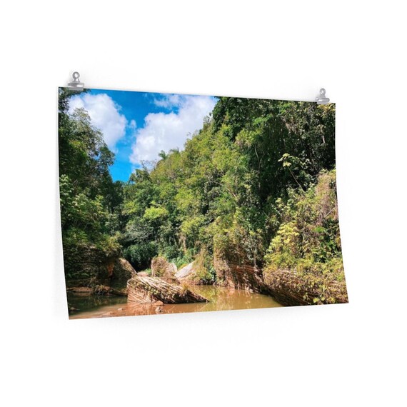 Tanamá River utuado PR Matte Poster - Etsy