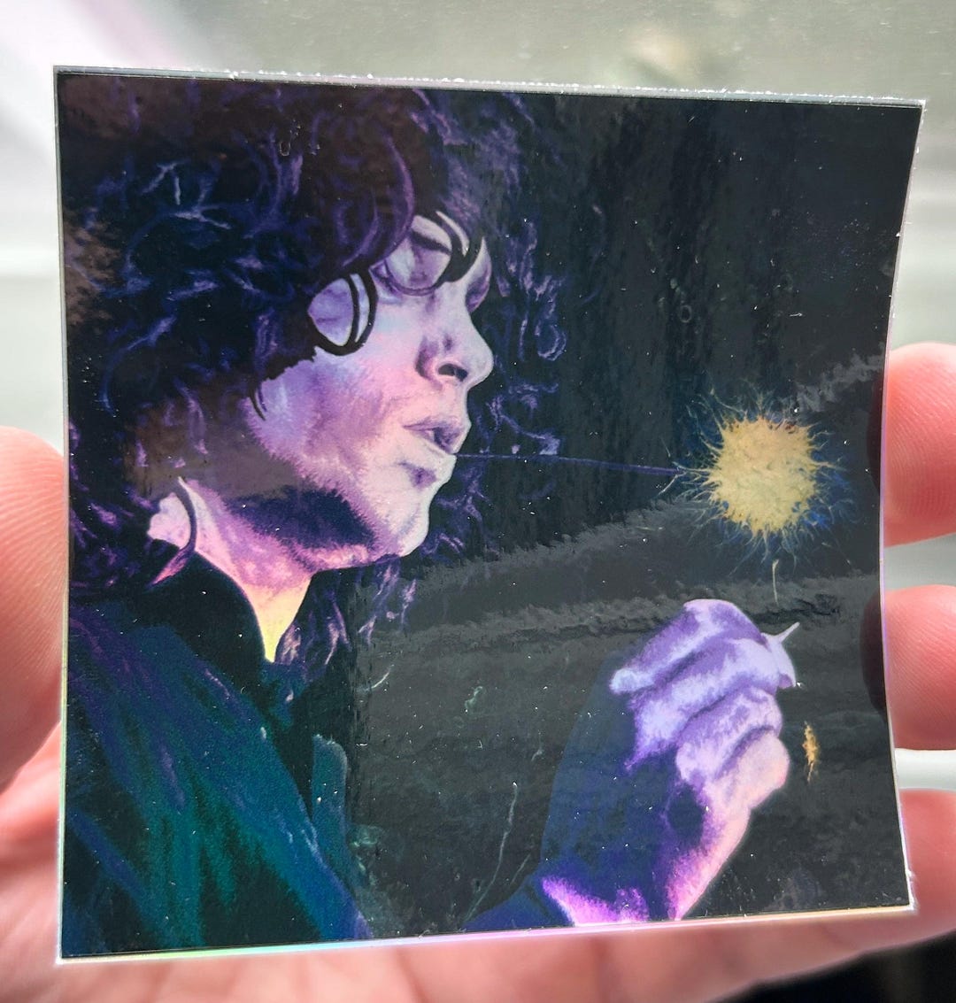 Sticker - “mr. Mojo Risin” Jim Morrison Holographic 3”x3” - Etsy