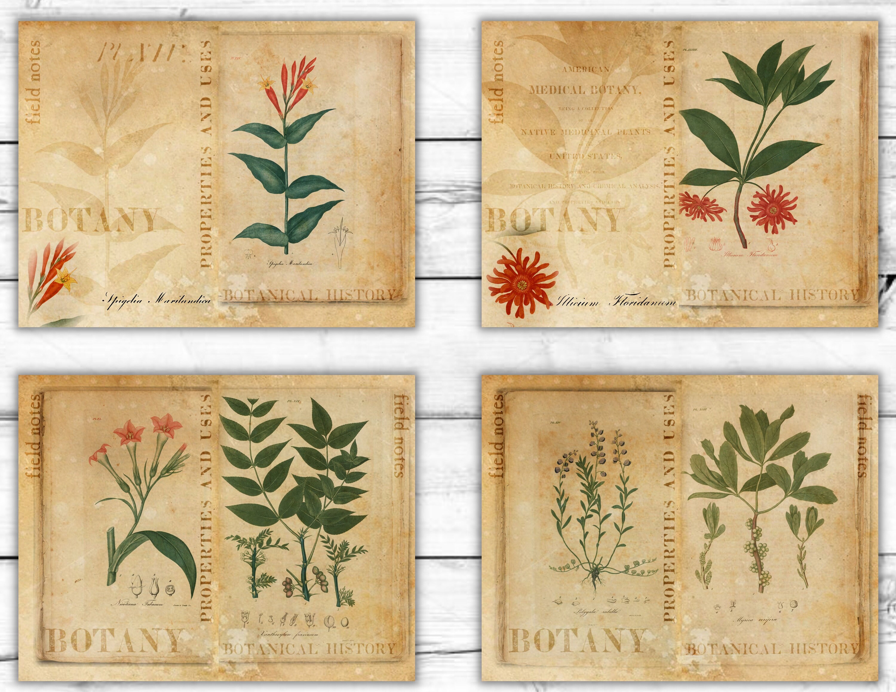 Digital Botanical Junk Journal, Printable Botanical ATC Cards, Vintage ...