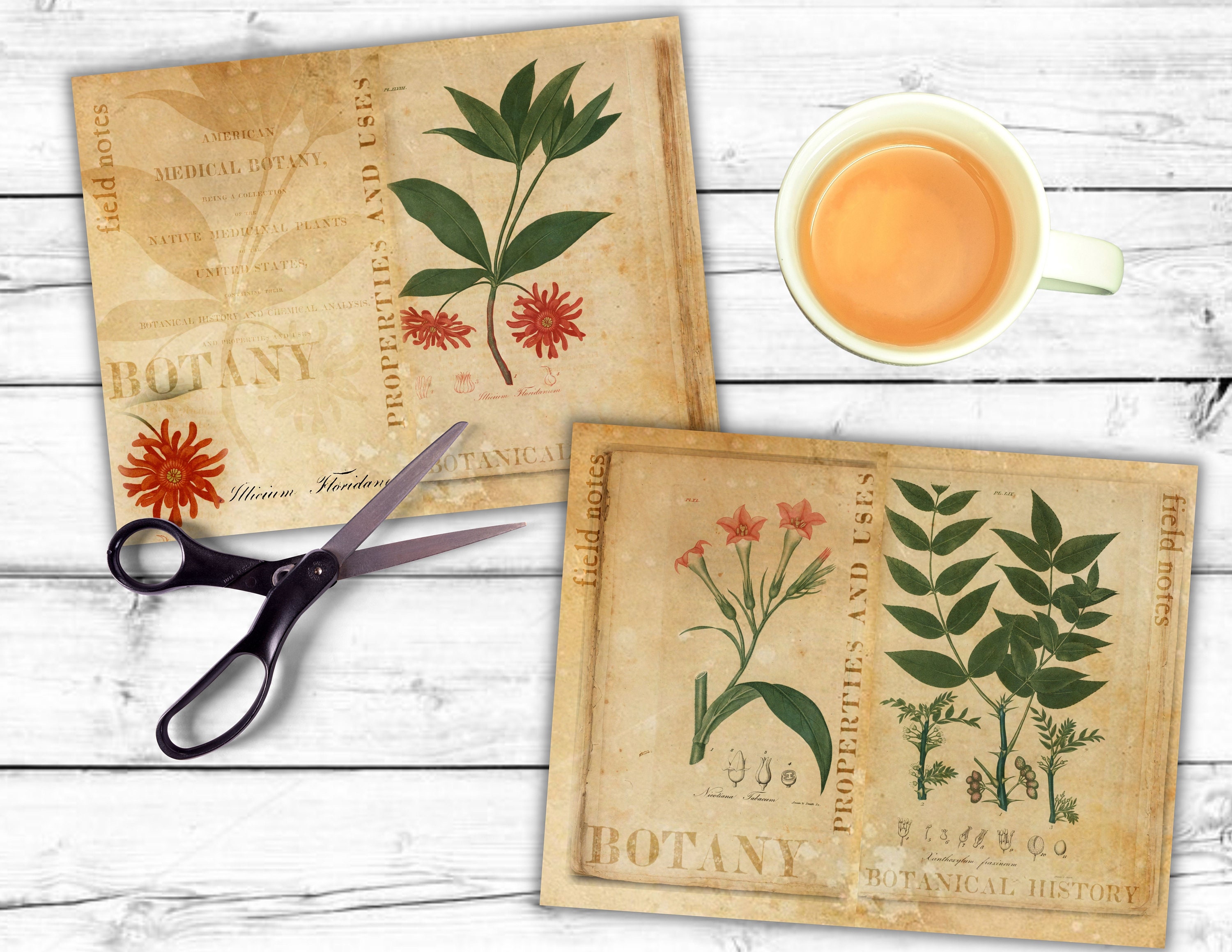 Digital Botanical Junk Journal, Printable Botanical ATC Cards, Vintage Botanical Ephemera ...