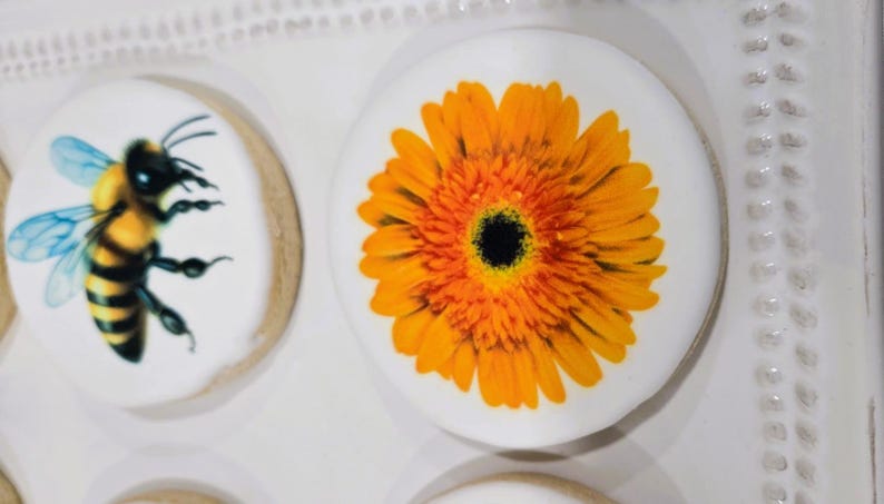 Custom Edible Image Cookies – Printed Sugar Cookies – Any Theme or ...