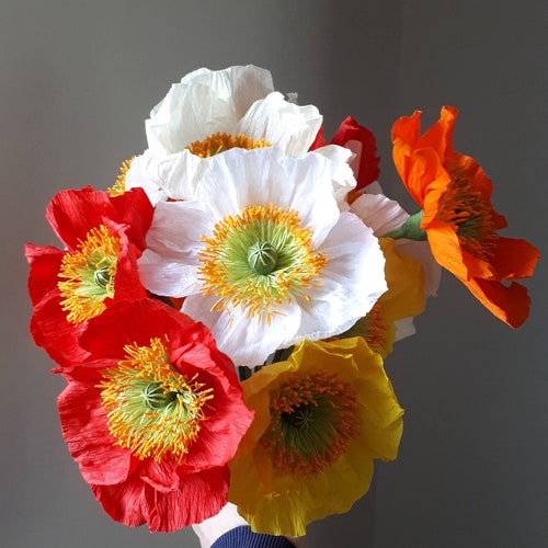 Downloadable Crepe Paper Poppy Template/pdf Printable - Etsy