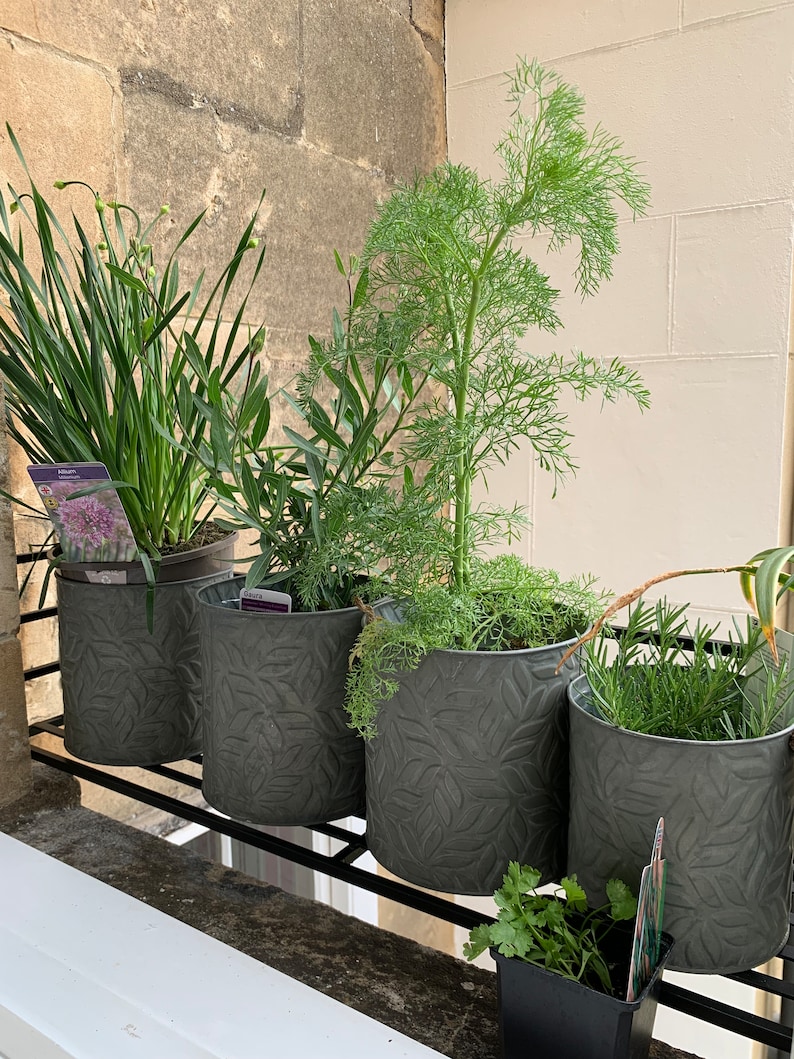 120cm Wall Mounted Metal Window Box Planter | Contemporary Straight Bar ...