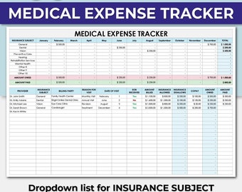 Medical Expense Tracker Spreadsheet Healthcare Monthly Budget Annual ...