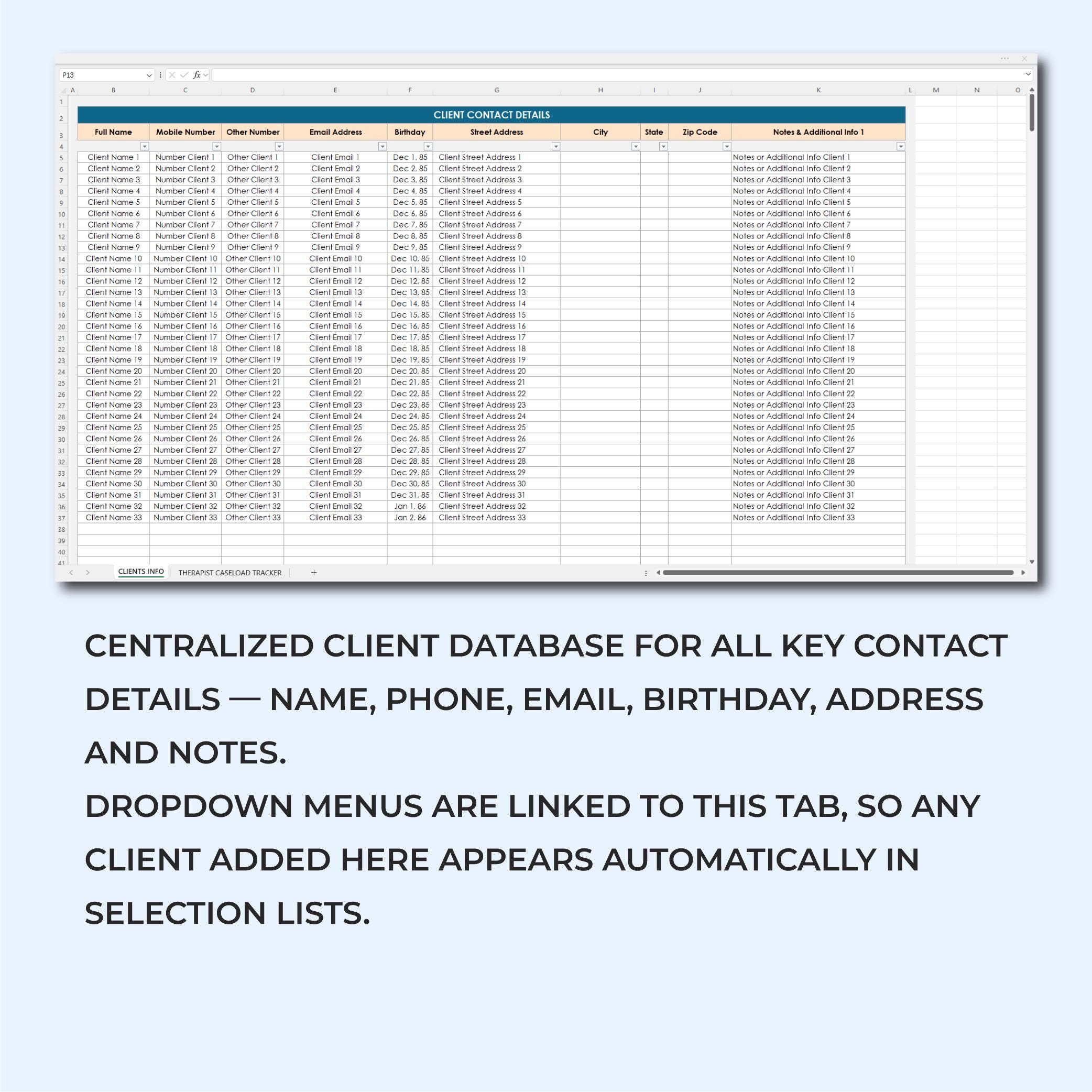 Therapist Sessions Log & Tracker Template, Psychotherapy Schedule ...