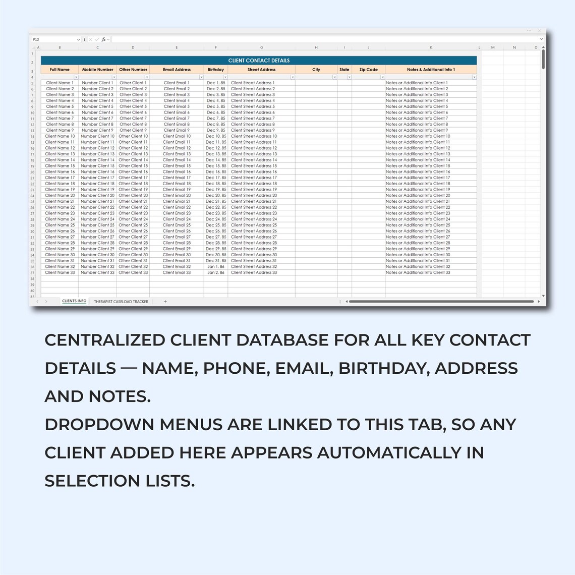 Excel Therapist Caseload Tracker Template, Therapy Client Tracker ...