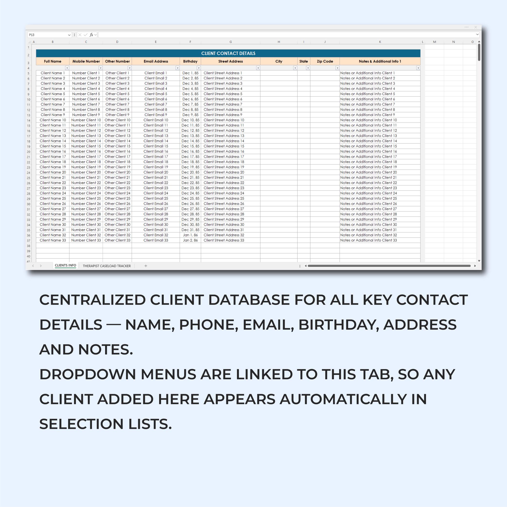 Excel Therapist Caseload Tracker Template, Therapy Client Tracker ...