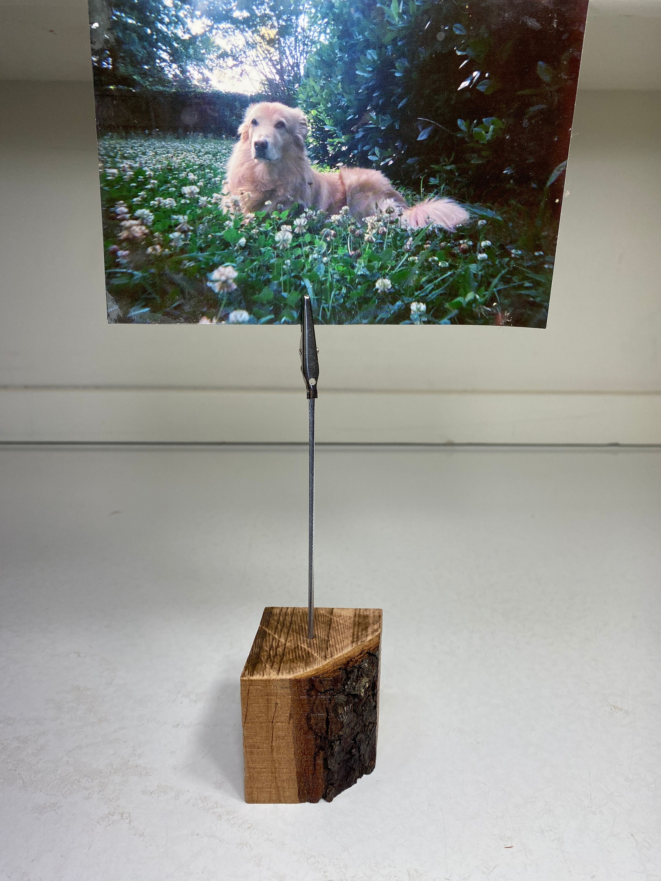 Live Edge Cherry Wood Alligator Clip Display Stand Set - Etsy