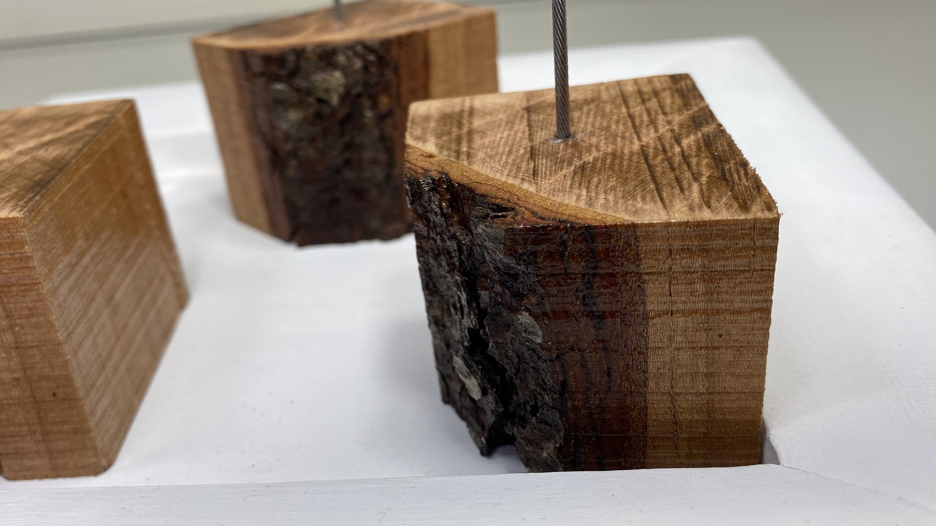 Live Edge Cherry Wood Alligator Clip Display Stand Set - Etsy