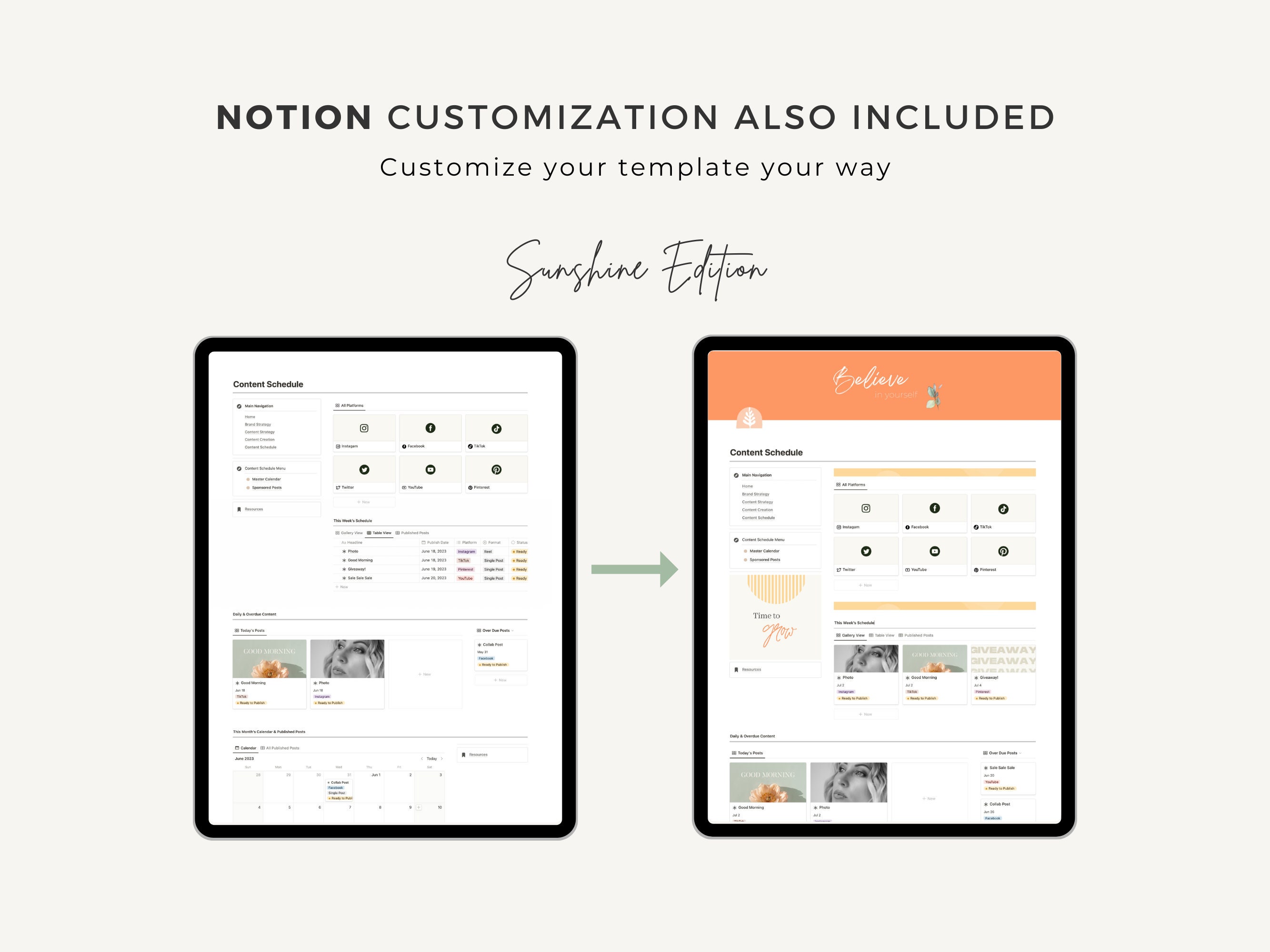 Ultimate Content Creator Bundle, Social Media Planner With Notion Customization, Notion Icons ...