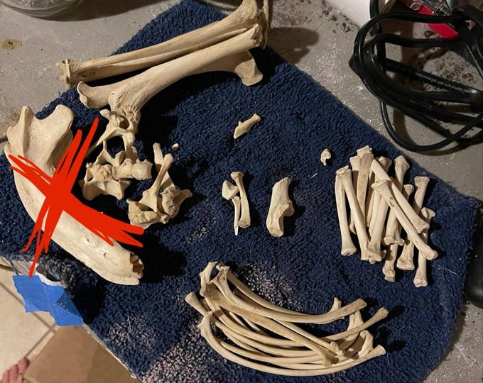 This item is unavailable - Etsy