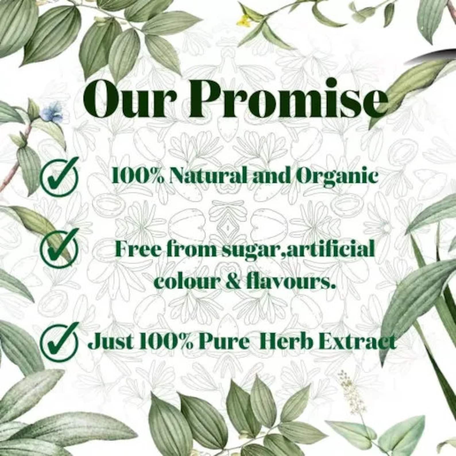 Organic Bilberry Extract Powder Anthocyanin>25% - No Fillers, Binders ...
