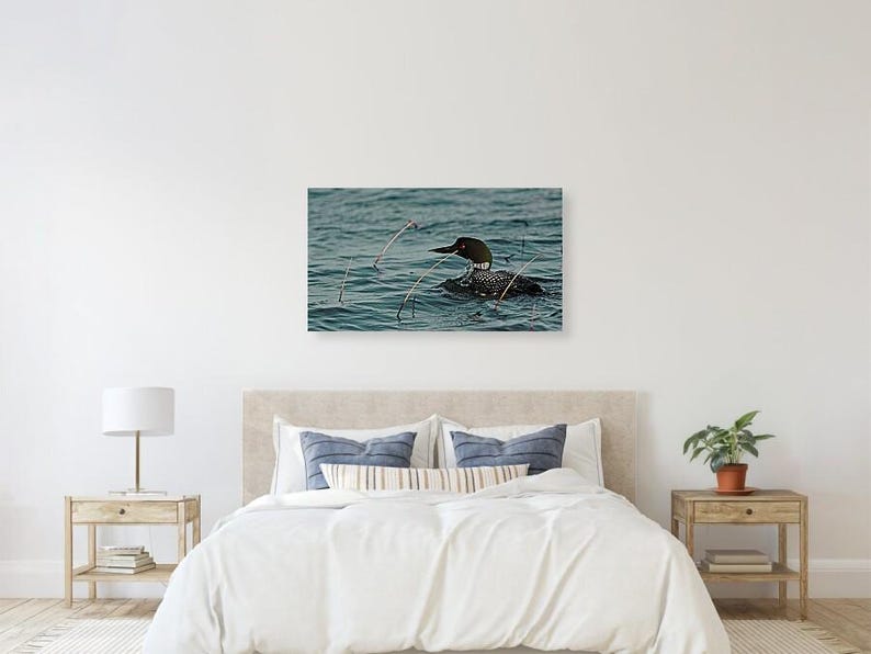Common Loon - Downloadable Digital Photo Print - Etsy