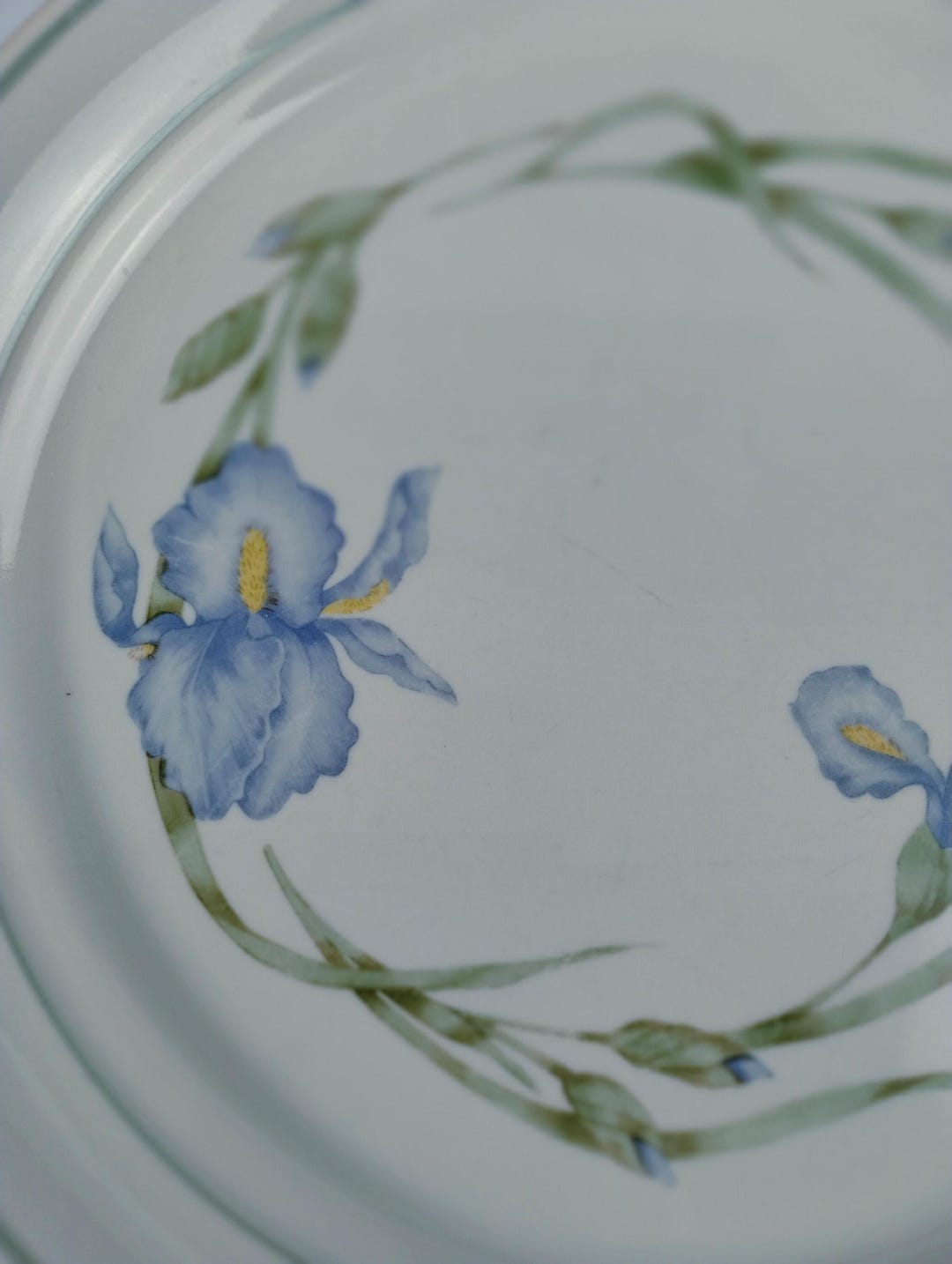 Vintage Corelle Corning Cornerstone Floral Blue Iris Dinner Plates 10. ...