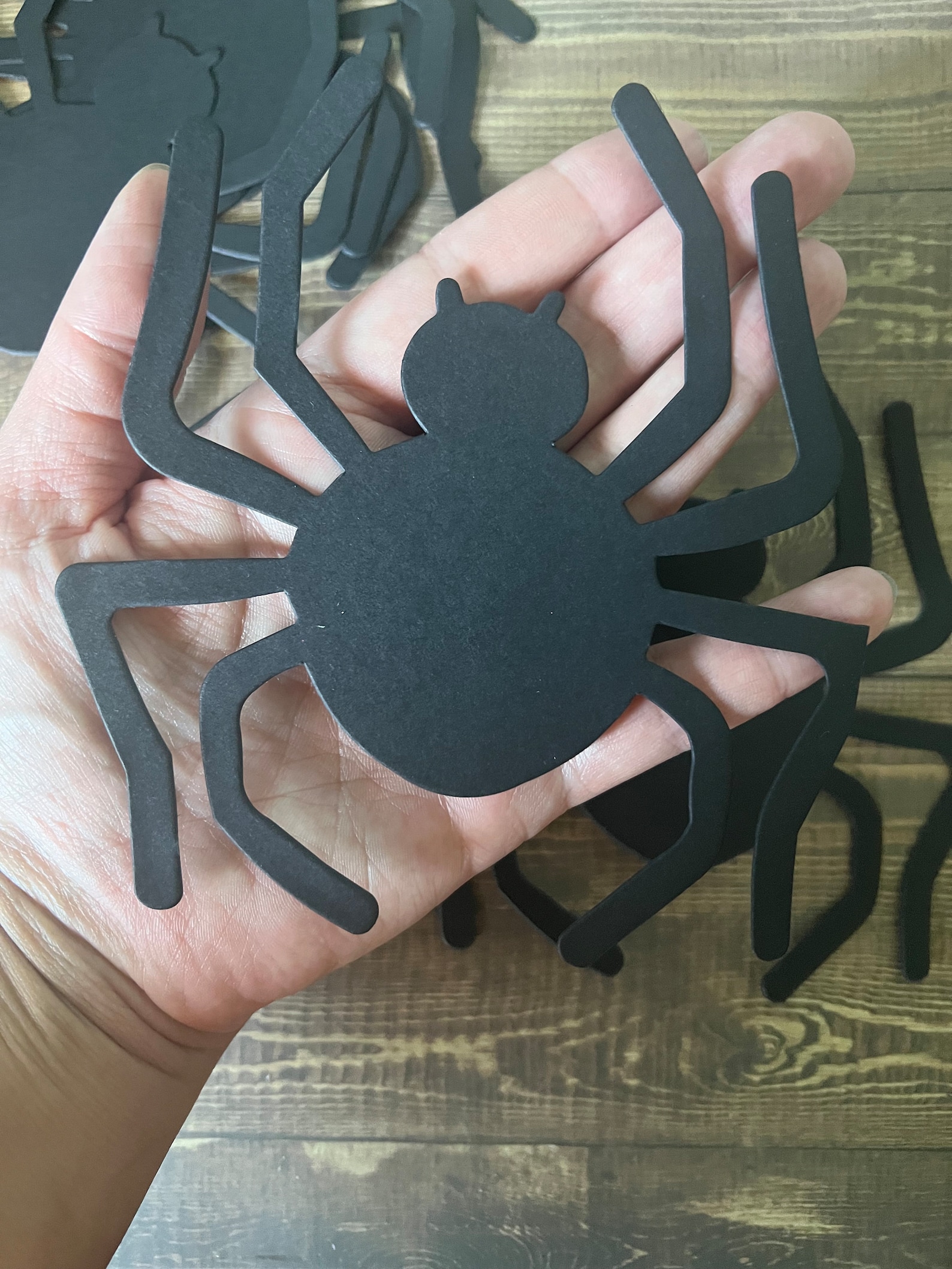 Big Spider Cut Outs, Decorations, Spider Table Confetti, Spider Lover ...