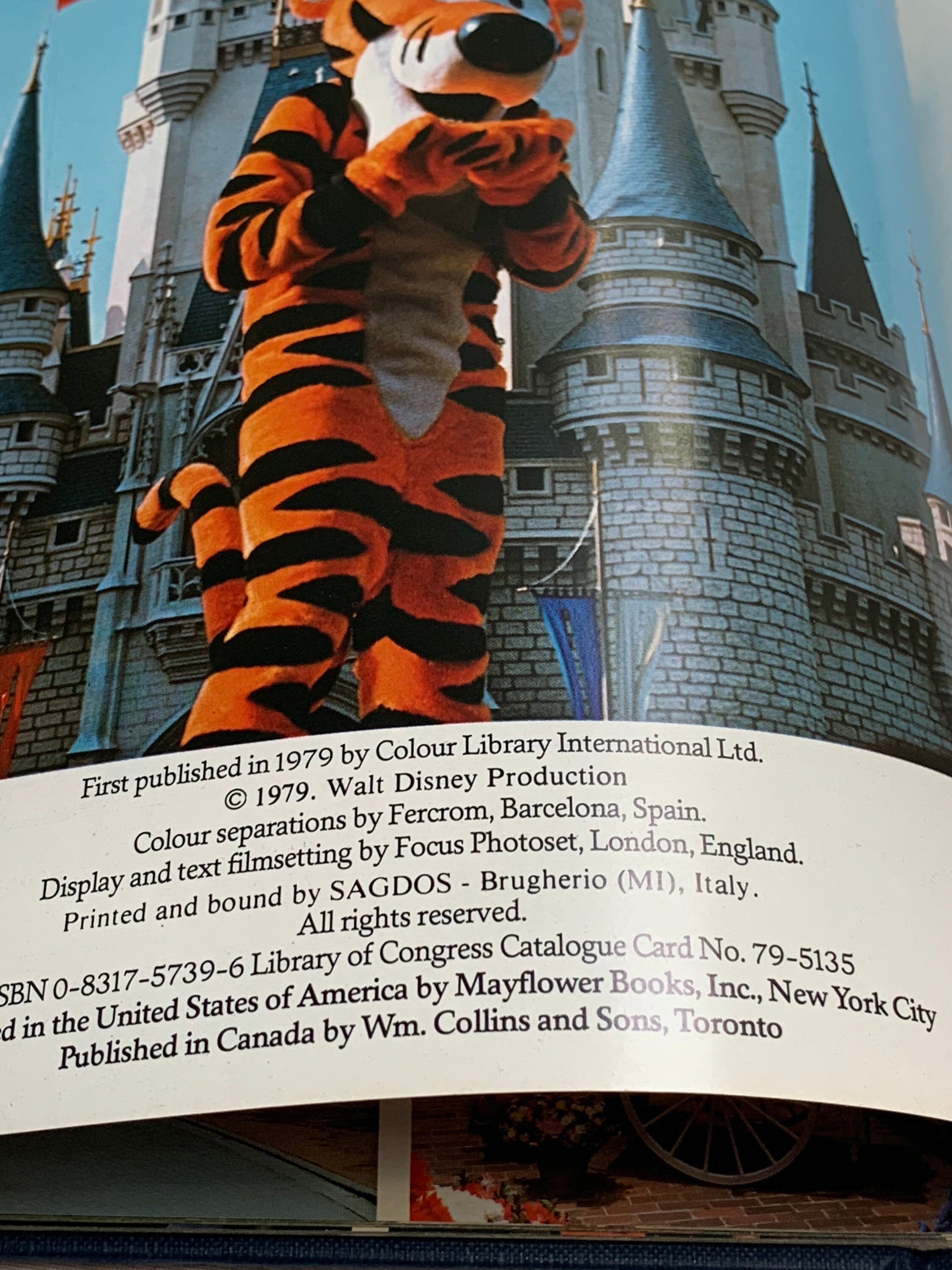Vintage Disneyland Book 1979 Vintage Childhood - Etsy