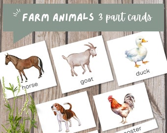 Montessori Zoo Animals 3 Part Cards | Vocabulary Animal Flash Cards for ...