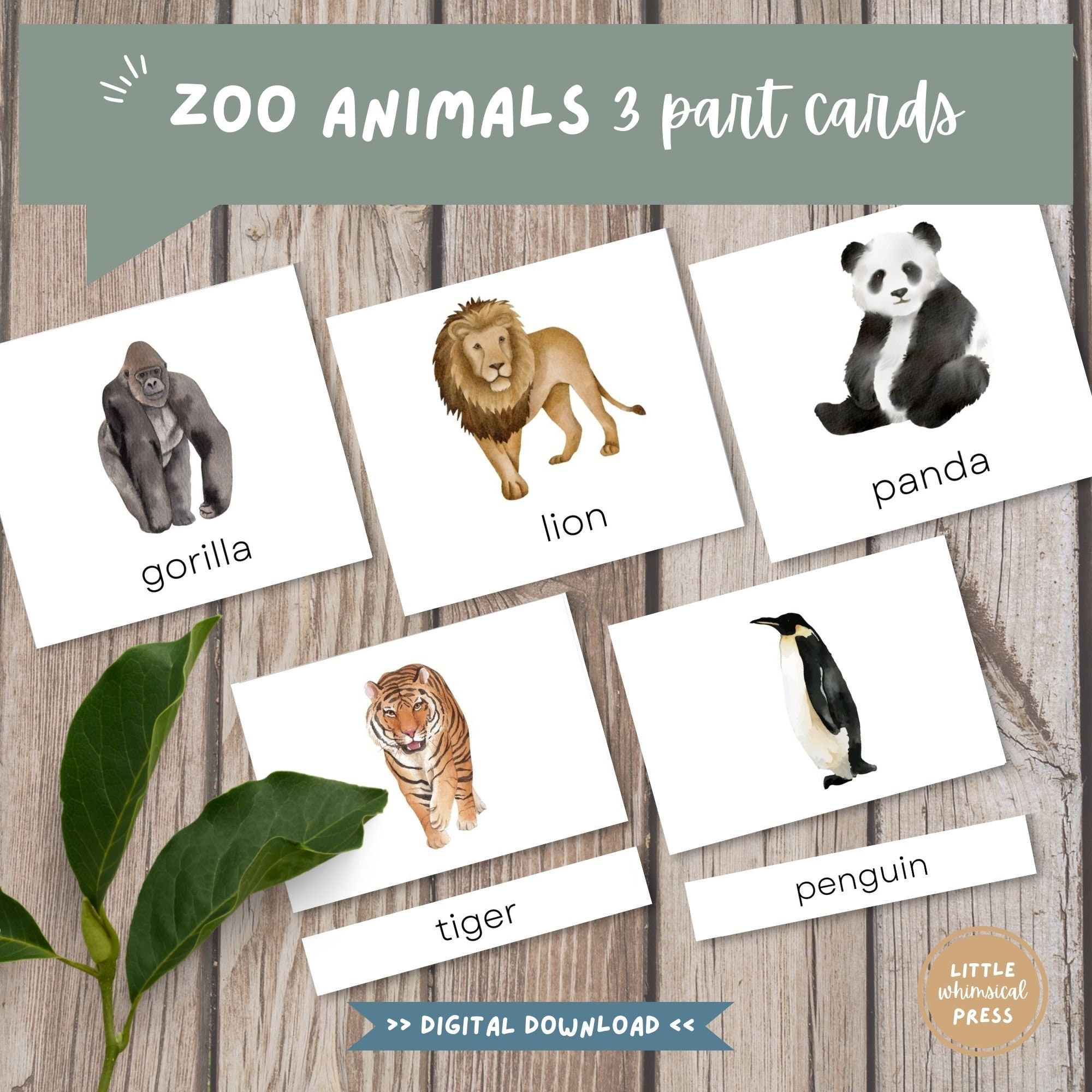Montessori Zoo Animals 3 Part Cards | Vocabulary Animal Flash Cards for ...