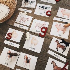 Montessori Farm Animals 3 Part Cards | Vocabulary Animal Flash Cards ...