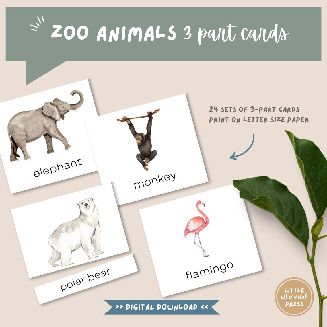 Montessori Zoo Animals 3 Part Cards | Vocabulary Animal Flash Cards for ...