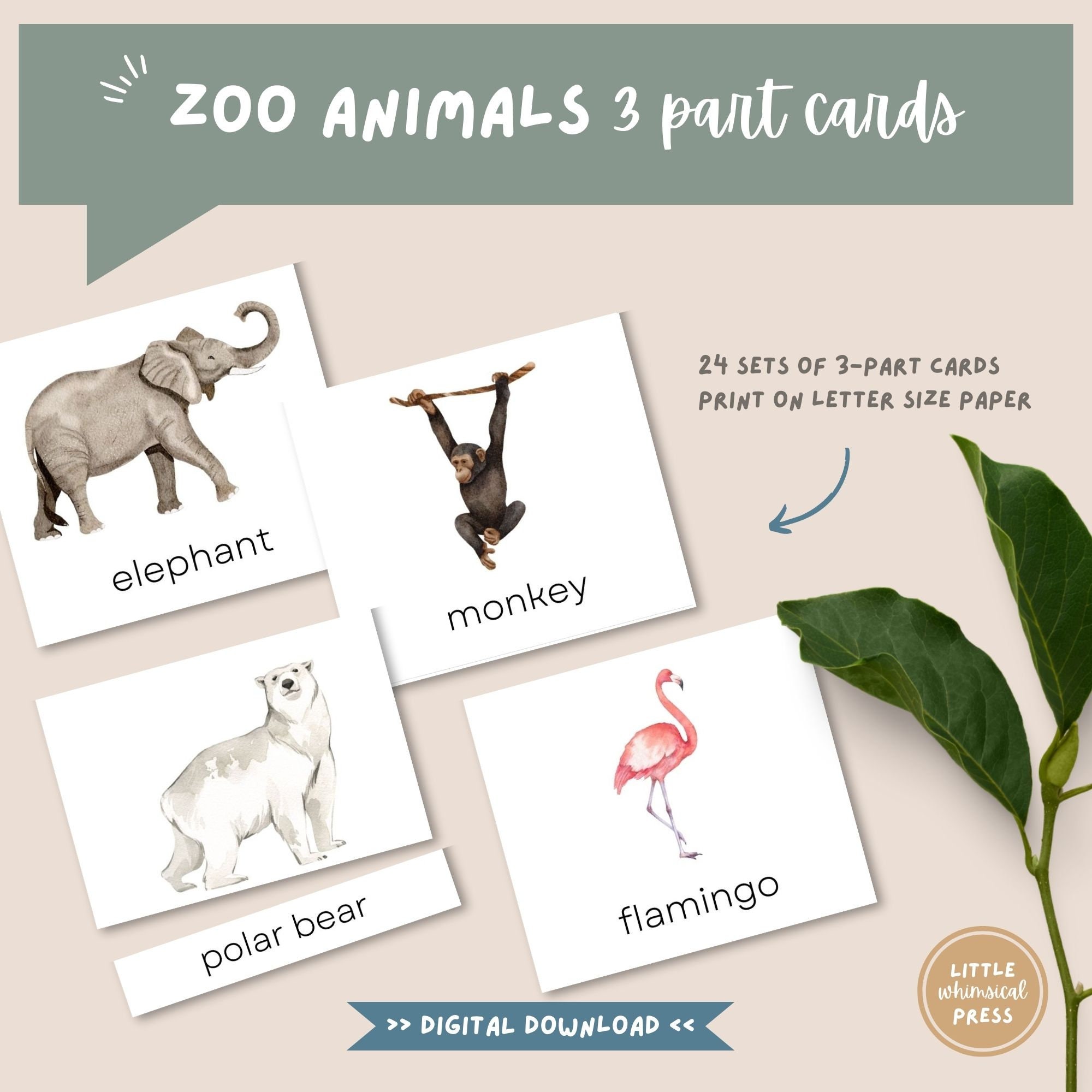 Montessori Zoo Animals 3 Part Cards | Vocabulary Animal Flash Cards for ...