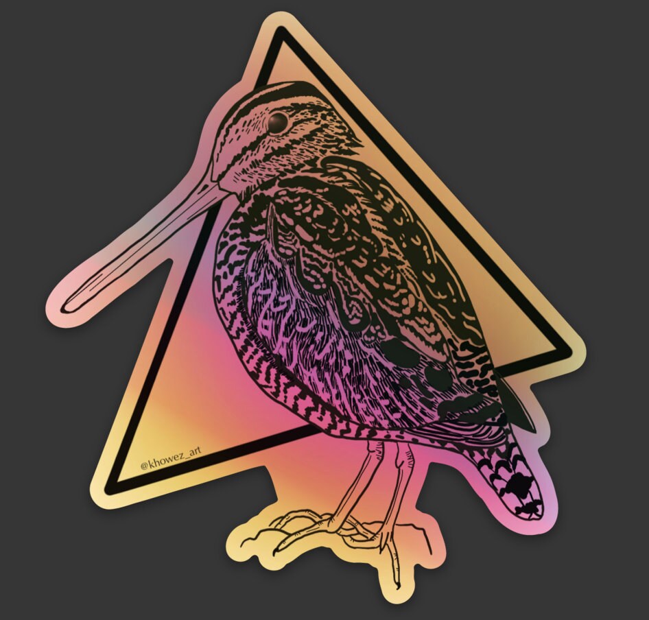 3x3 Wilson's Snipe Vinyl Sticker, Bird Sticker, Nature Sticker ...