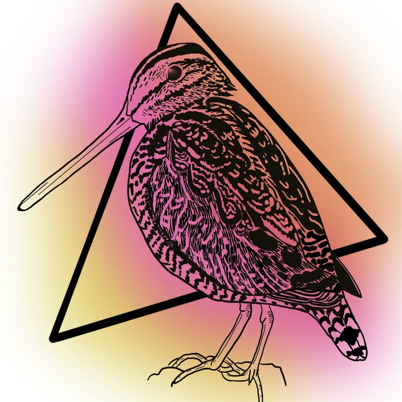 Matt Wilson Art - Etsy