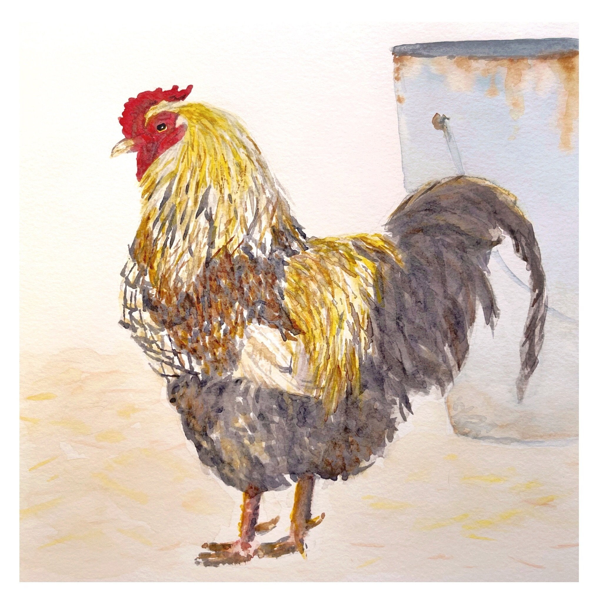 Watercolor Painting - Brahma Rooster - Giclee Print - Farmyard Cock-a ...