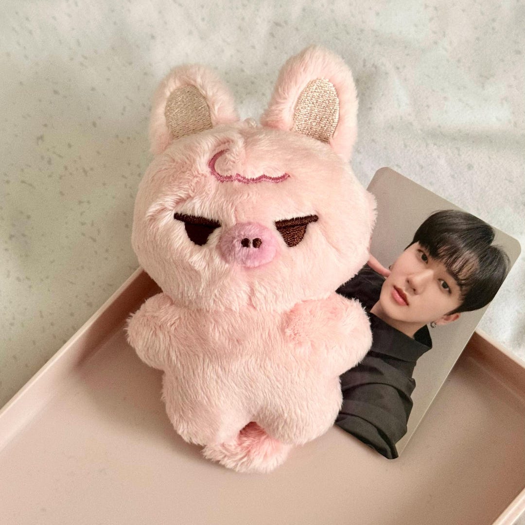 Stray Kids Dwaekki Skzoo Skz Fanmade 10 Cm Doll - Etsy