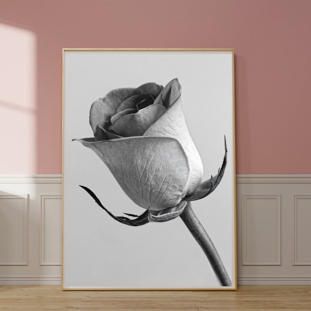 Black and White Aesthetic Wall Art Flower Poster Black and White Home ...